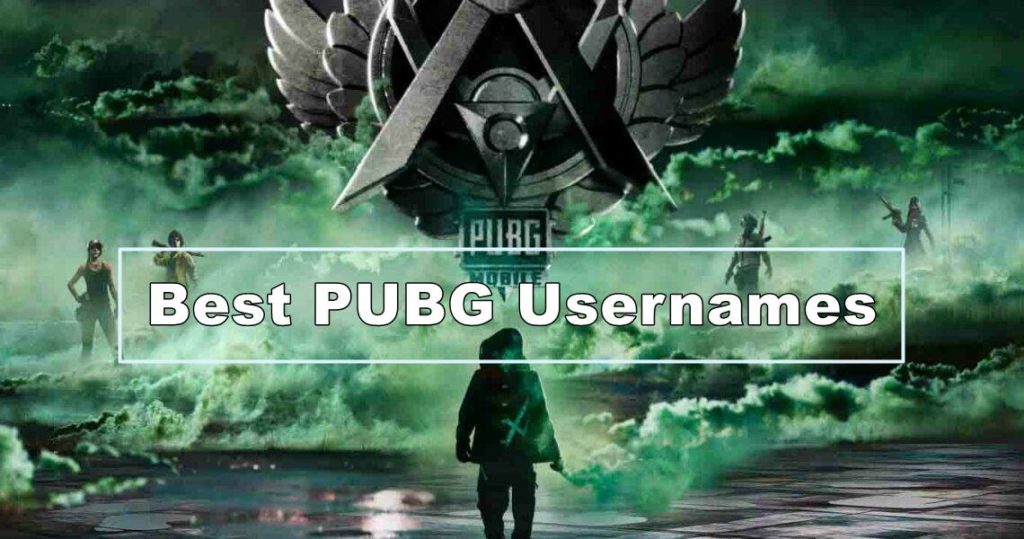 250 Best Funny Cool Pubg Names Ideas For Boys Girls MeritLine